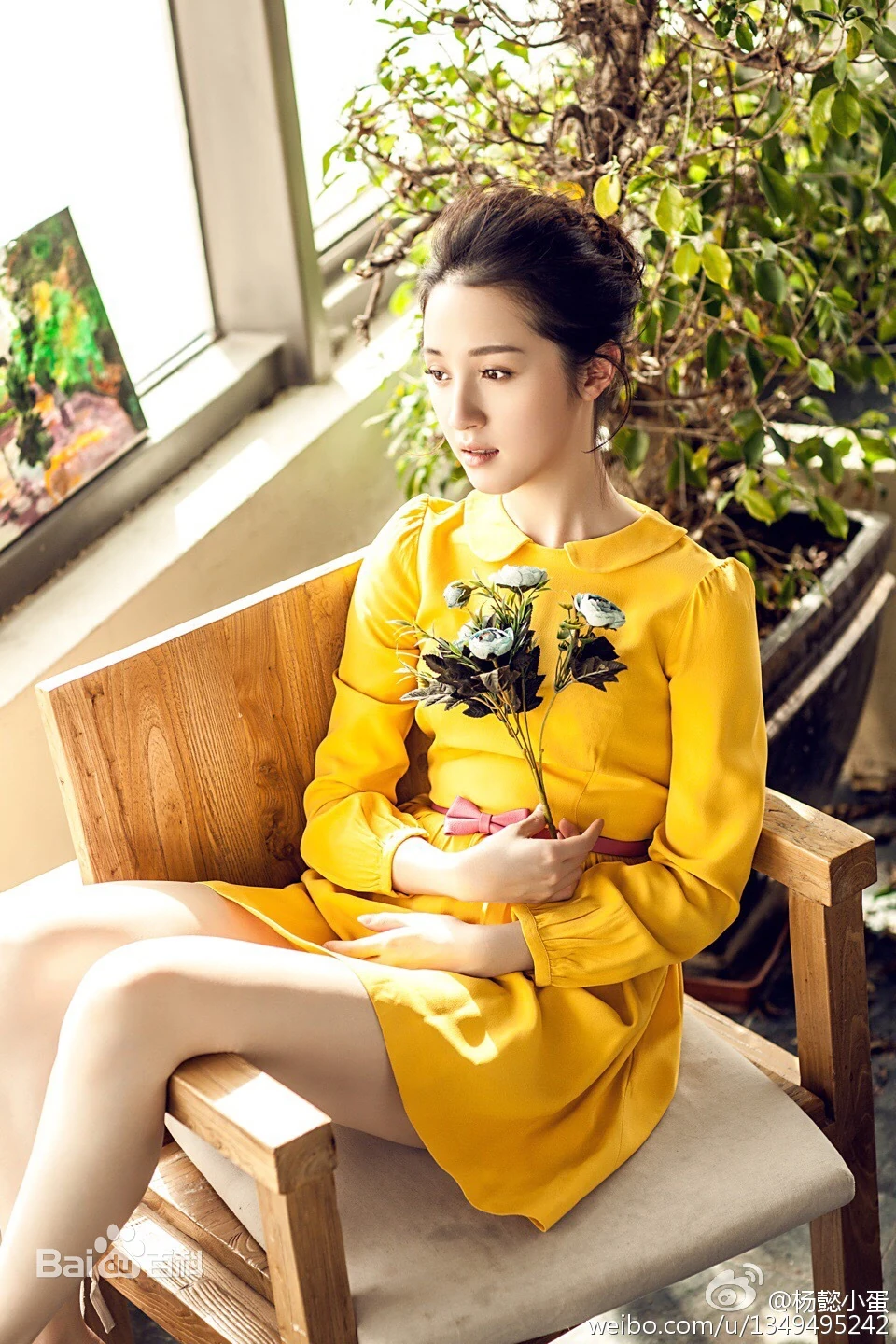 Yang Yi | Wiki Drama | Fandom