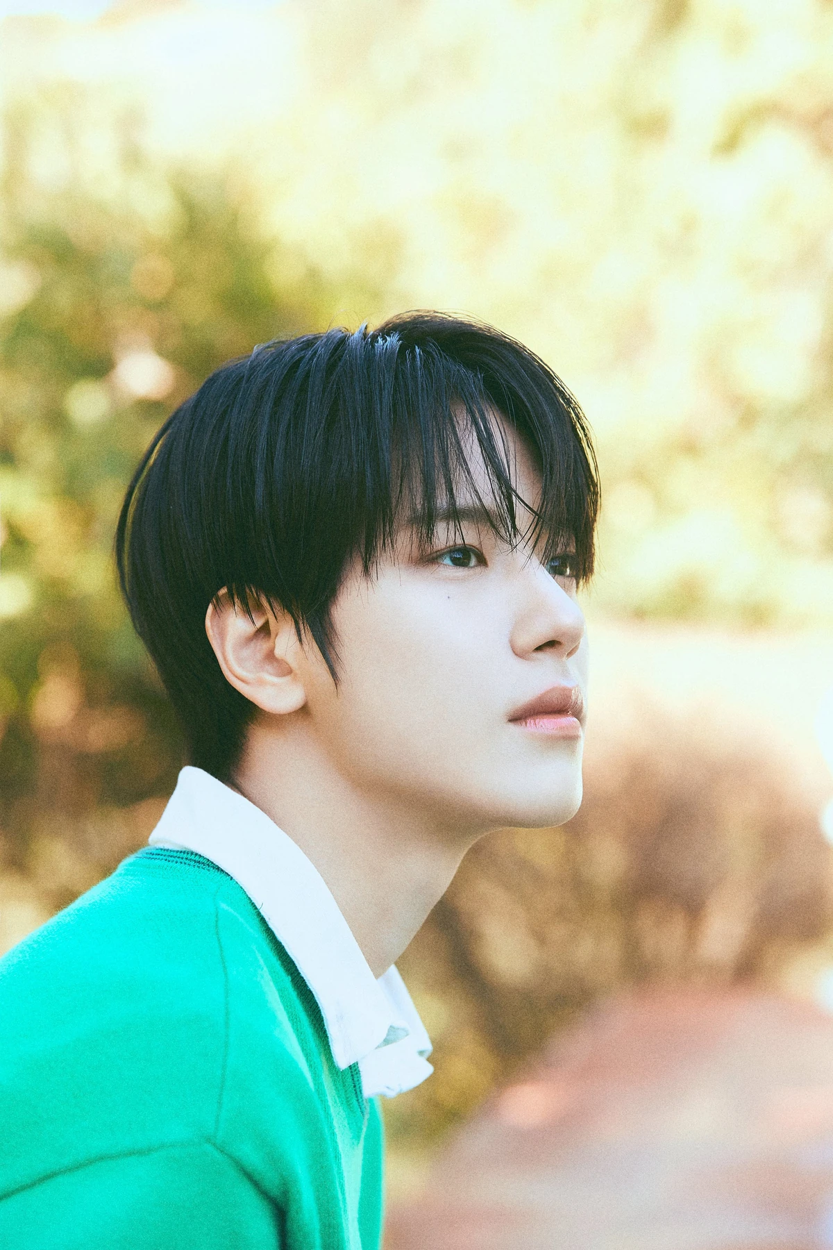 Song Seung Ho | Wiki Drama | Fandom
