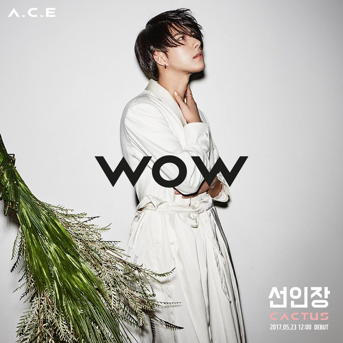 WOW | Wiki Drama | Fandom