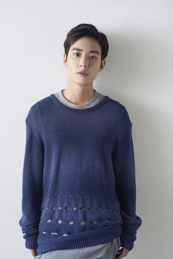 Choi Soo Han | Wiki Drama | Fandom
