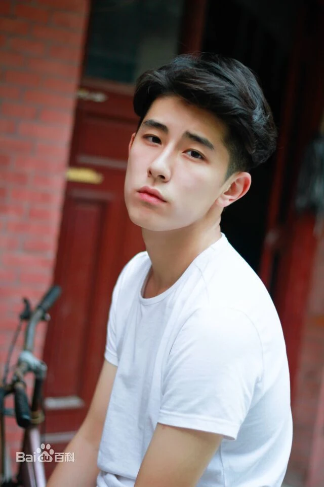 Lin Feng Song | Wiki Drama | Fandom