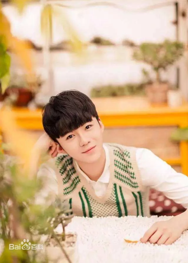 Cai Yi Jia | Wiki Drama | Fandom