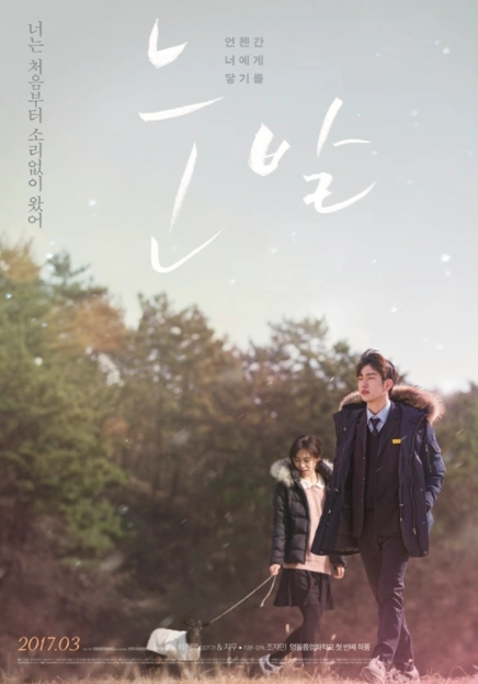 Snowflakes (2017) | Wiki Drama | Fandom