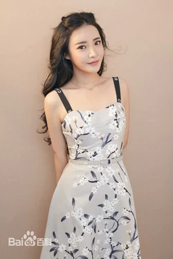 Hong Shi Ya | Wiki Drama | Fandom