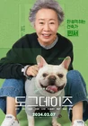Dog Days | Wiki Drama | Fandom