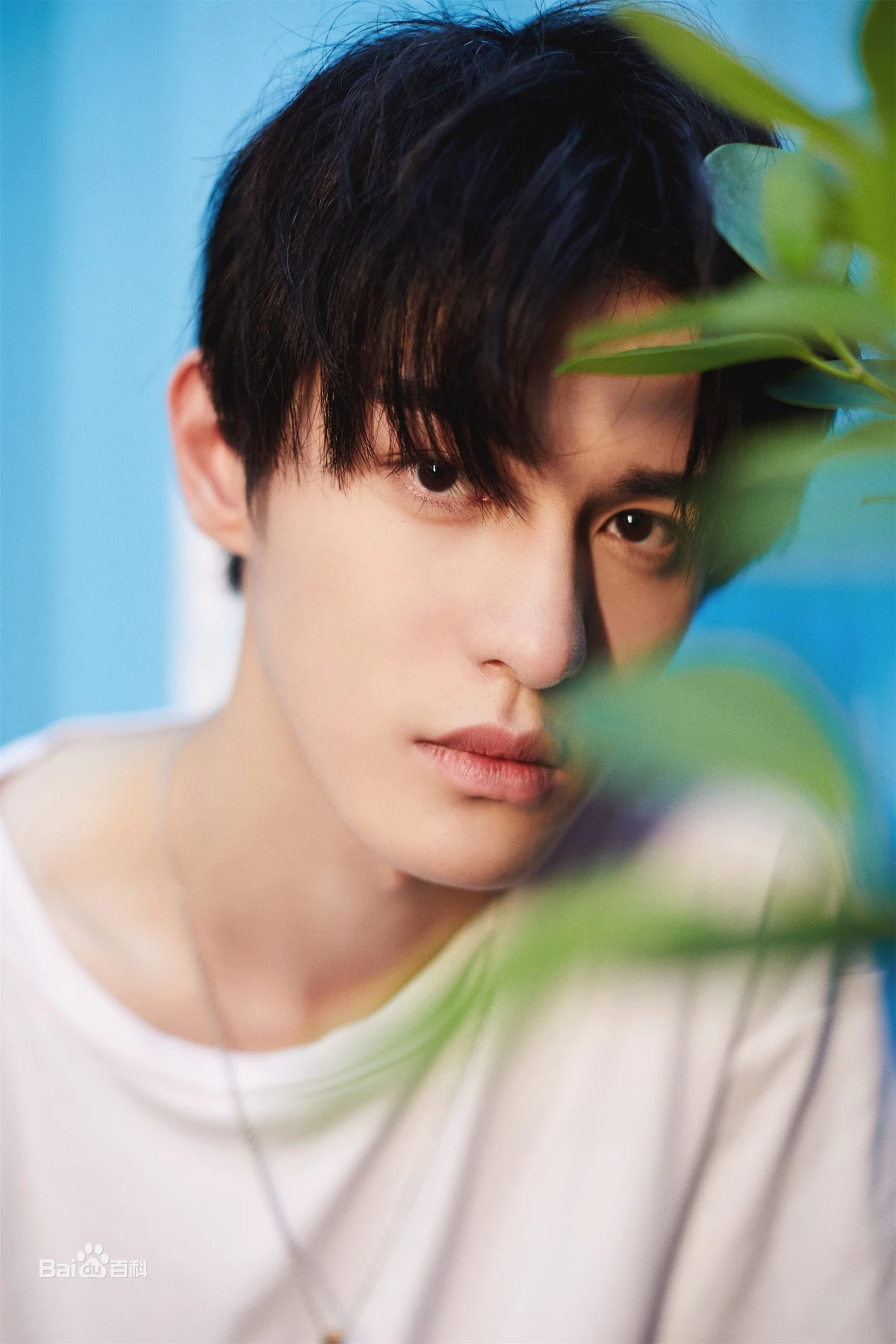 He De Rui | Wiki Drama | Fandom