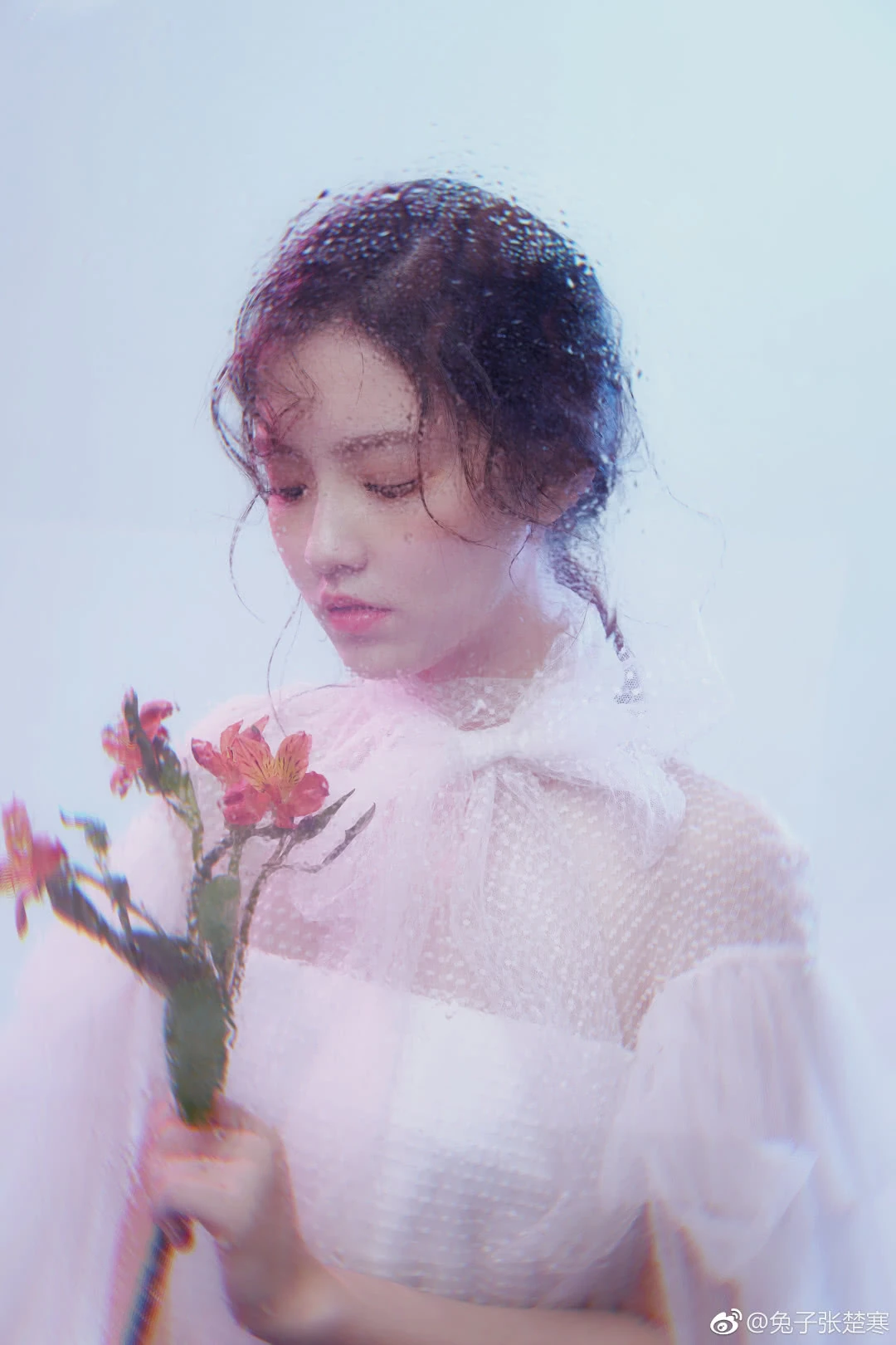 Zhang Chu Han | Wiki Drama | Fandom