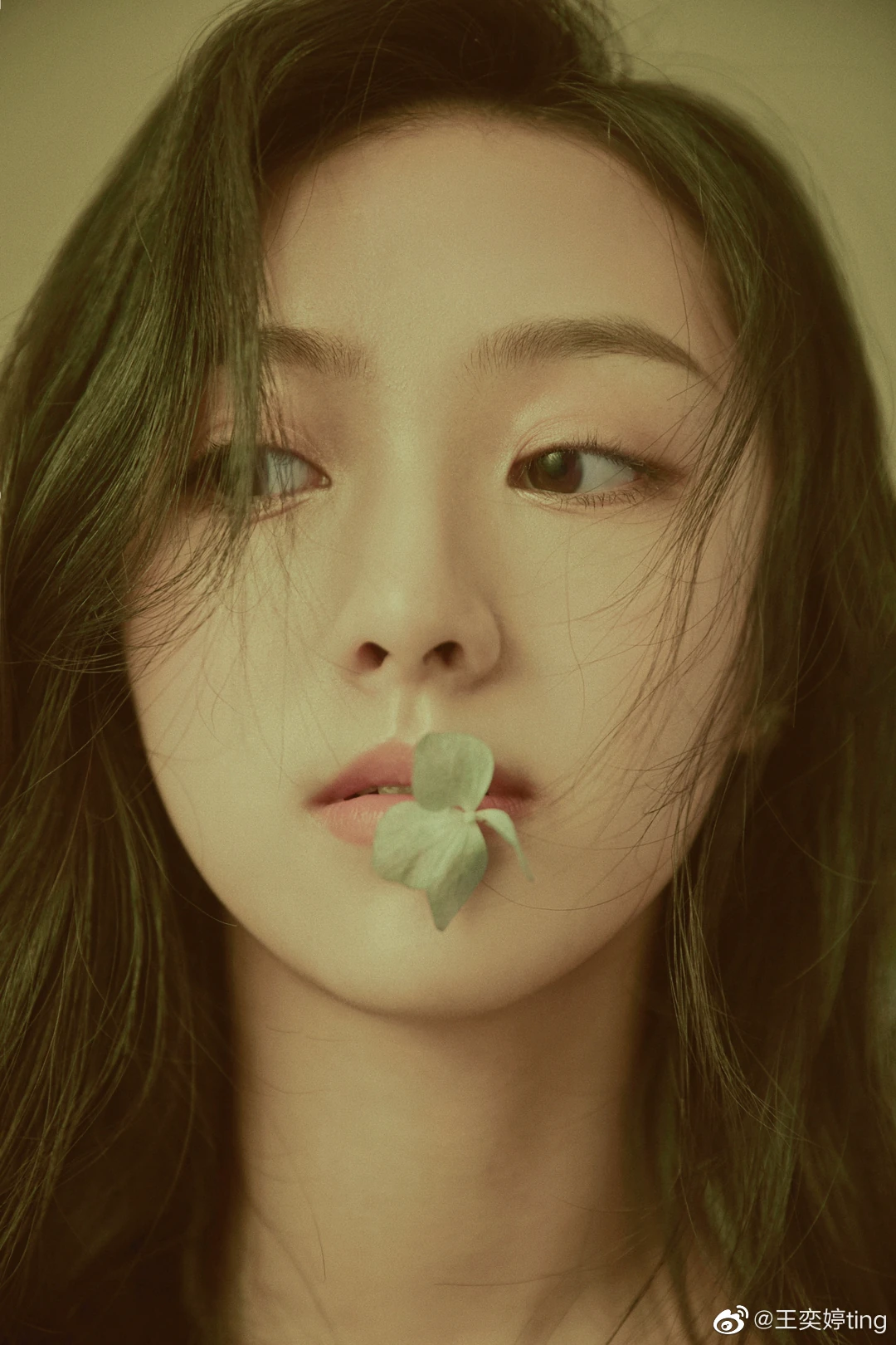 Wang Yi Ting | Wiki Drama | Fandom