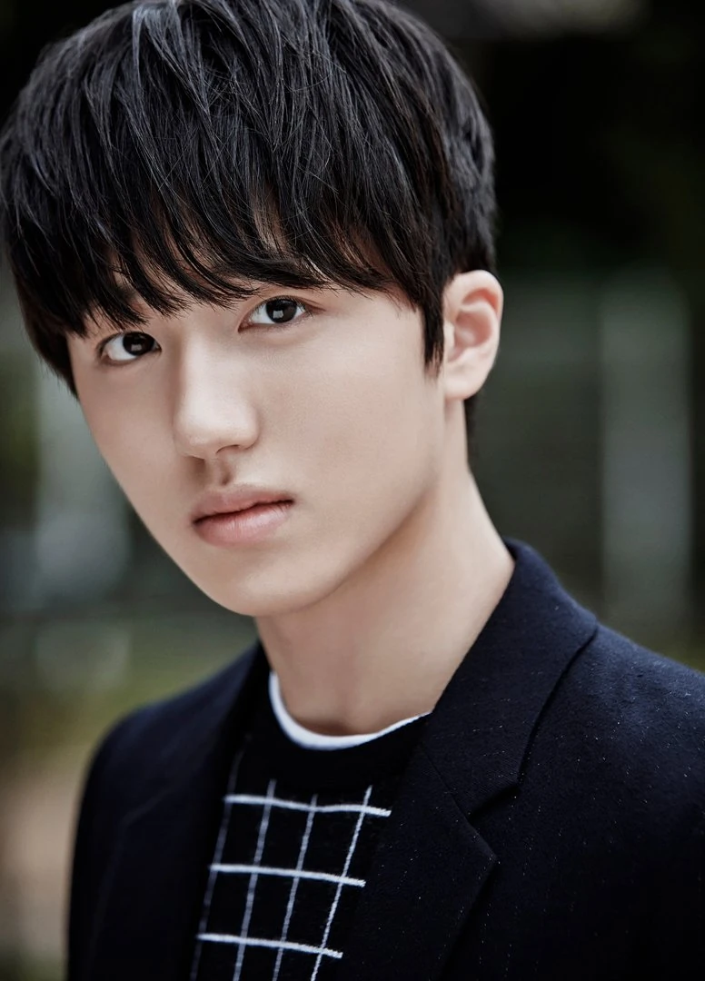 Kang Chan Hee | Wiki Drama | Fandom