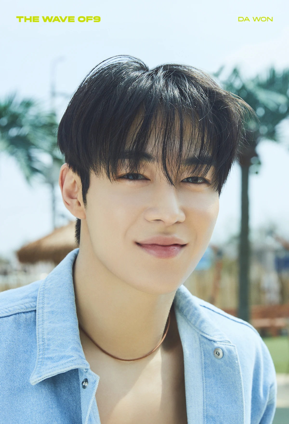 Da Won | Wiki Drama | Fandom