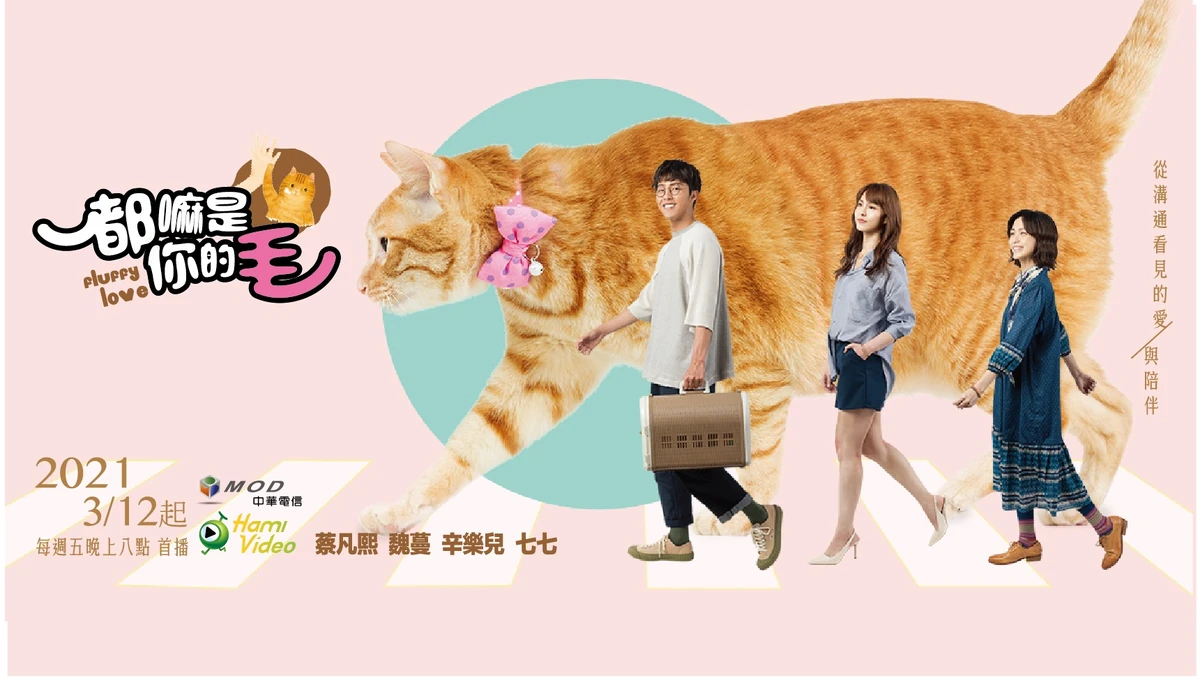 Fluffy Love | Wiki Drama | Fandom