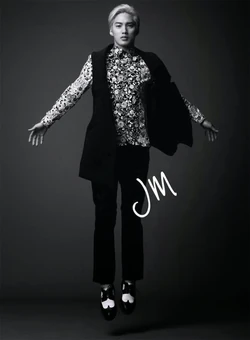 JM | Wiki Drama | Fandom