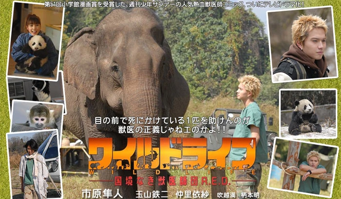 Wild Life | Wiki Drama | Fandom