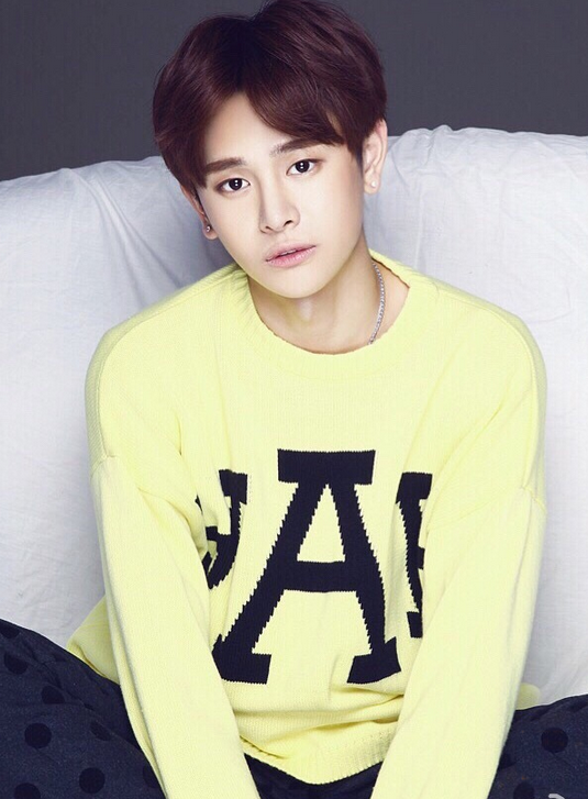 Wang Xin Qiao Wiki Drama Fandom