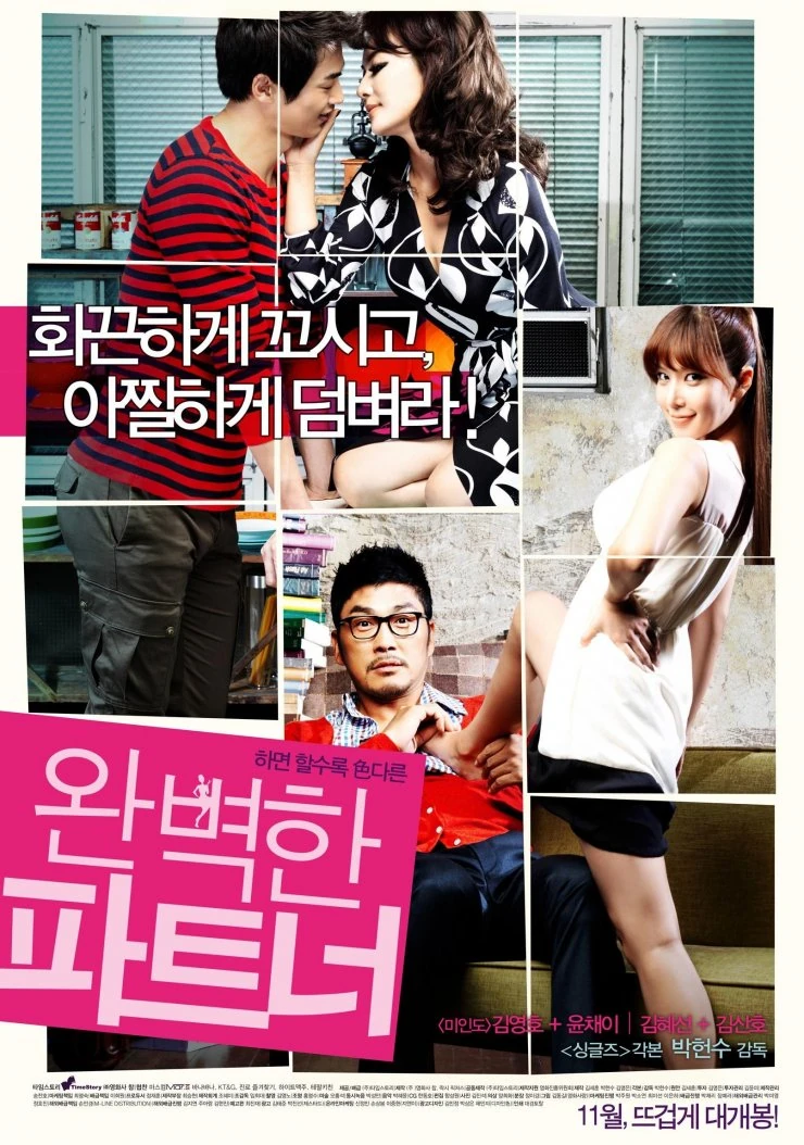My Secret Partner | Wiki Drama | Fandom