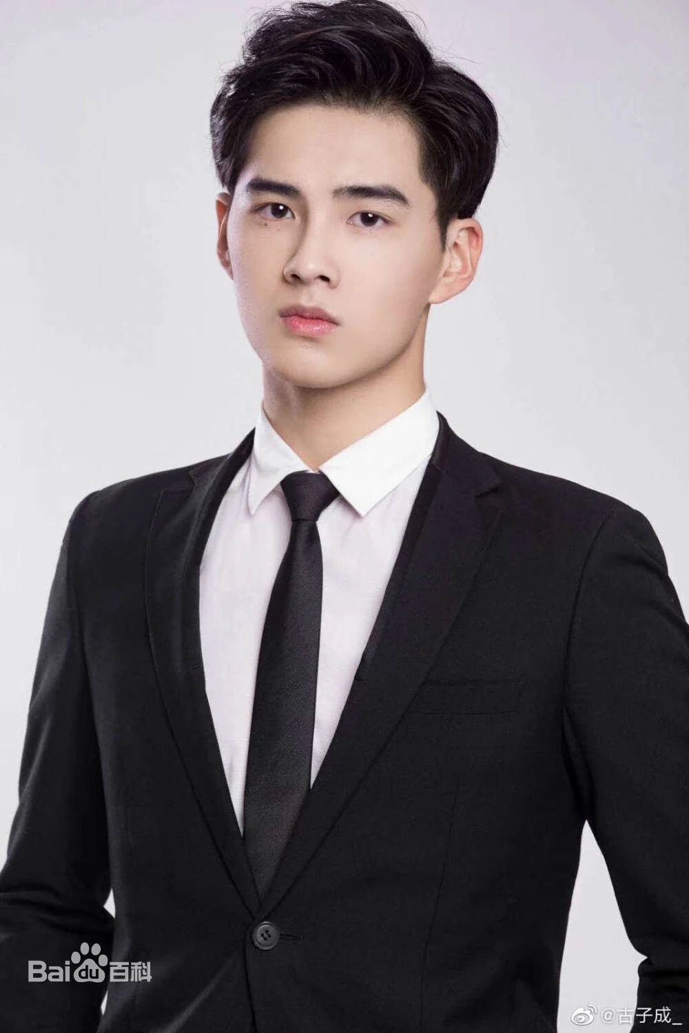 Gu Zi Cheng | Wiki Drama | Fandom