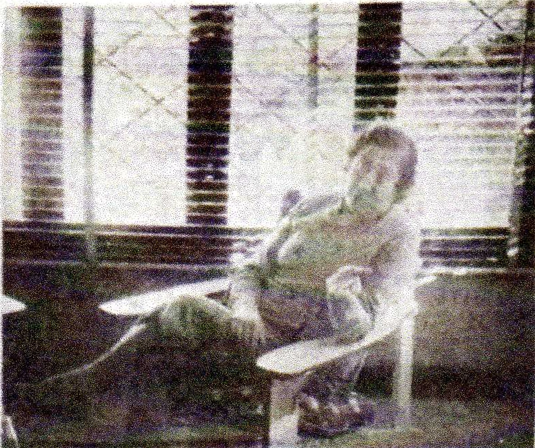 Elsa Fernández de Borges | Dramaturgas orientales Wiki | Fandom