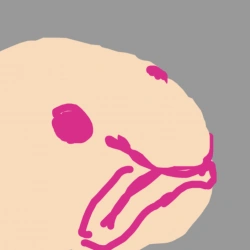 Blobfish Times | Drawception Wiki | Fandom
