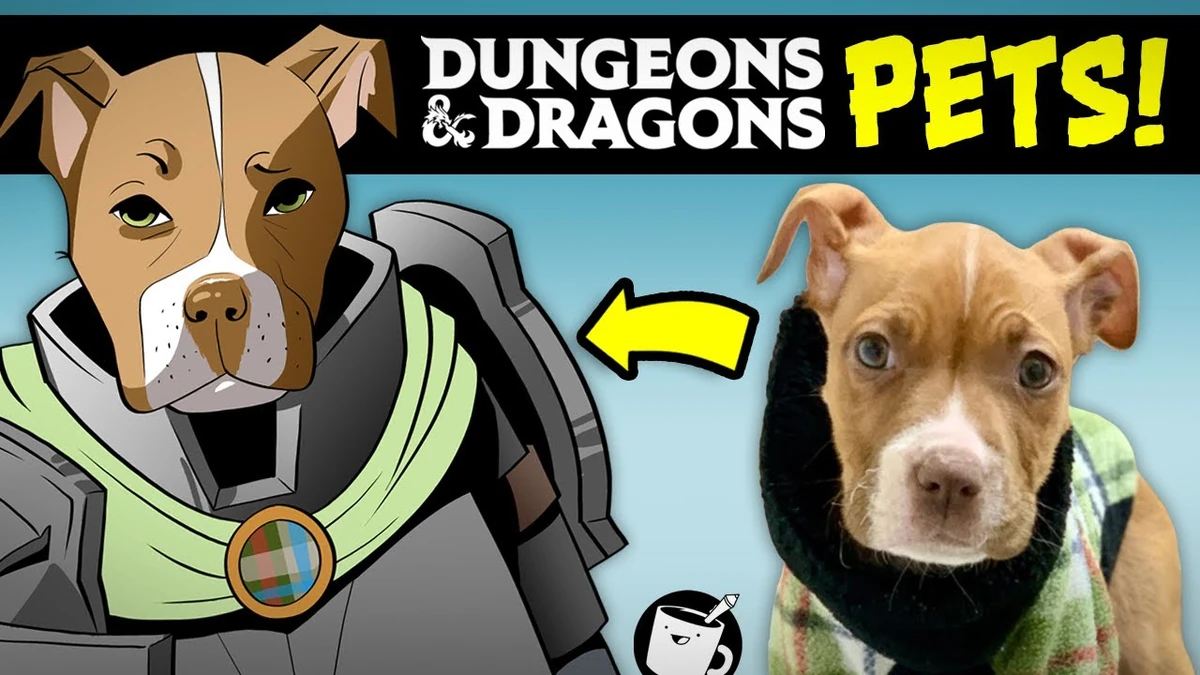 Drawing Pets as D&D Characters | Drawfee Wikia | Fandom
