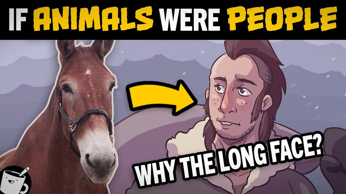 Turning Animals Into Original Characters Challenge | Drawfee Wikia | Fandom