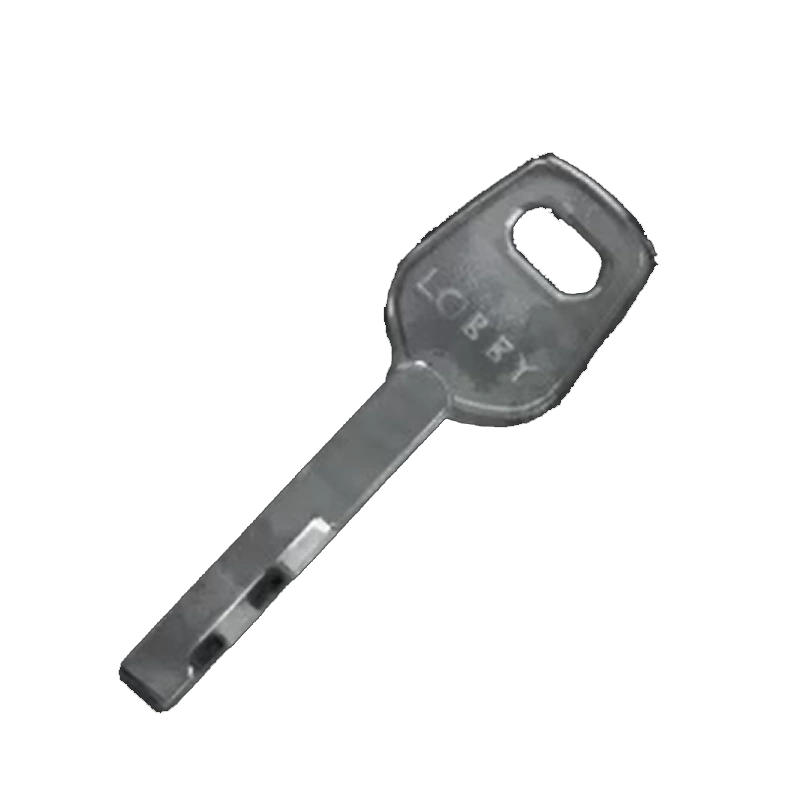 School Lobby Key | DreadOut Wiki | Fandom