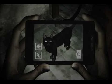 Black Cat | DreadOut Wiki | Fandom