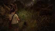 DreadOut - Solucja | DreadOut Wiki | Fandom