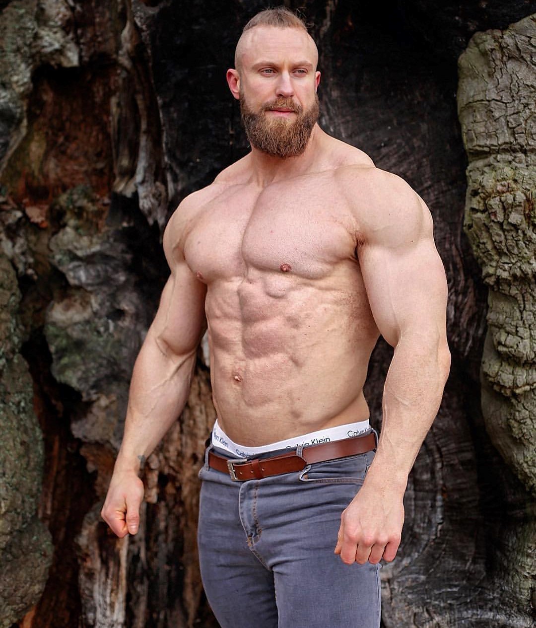 Josh Maley | Dream Casting Database (DCDB) Wiki | Fandom