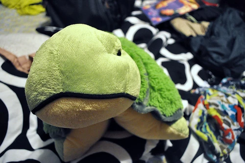 Pillow Pets | Dream Lites Wiki | Fandom