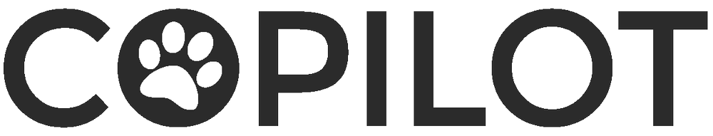 Microsoft Copilot | Dream Logos Wiki | Fandom