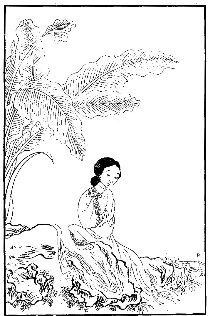 Xiaohong | Dream of the Red Chamber Wiki | Fandom