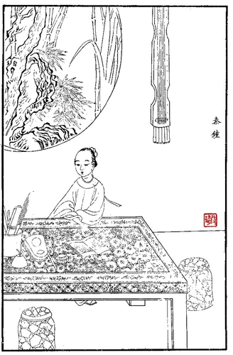 Qin Zhong | Dream of the Red Chamber Wiki | Fandom