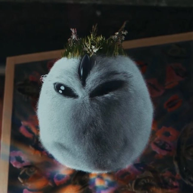 Celly | Dreamcatcher Wiki | Fandom