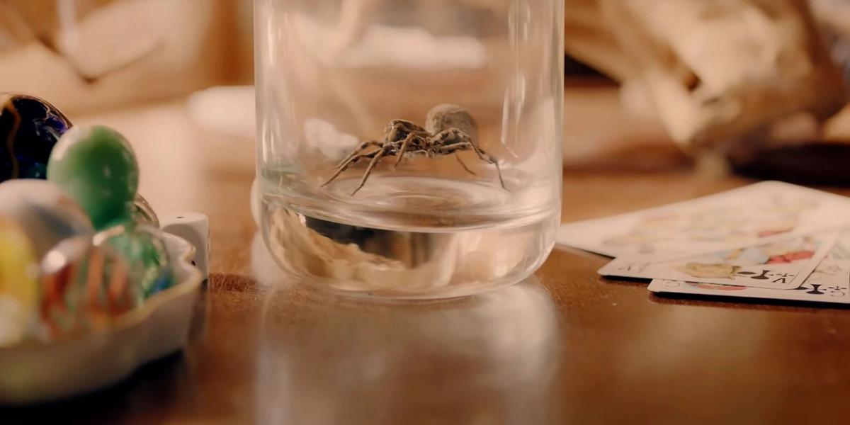 The Spider | Dreamcatcher Wiki | Fandom