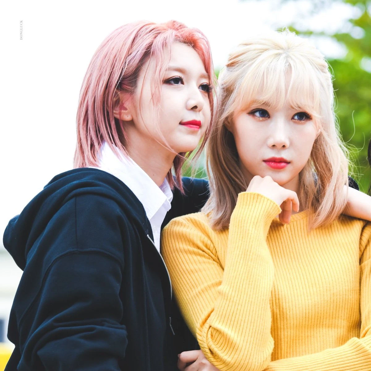 Hanmi | Dreamcatcher Wiki | Fandom