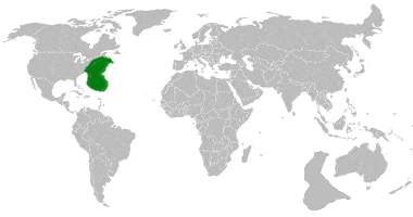 Ooo | Dream Fiction Wiki | Fandom