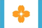 Flag of Wuhu | Dream Fiction Wiki | Fandom