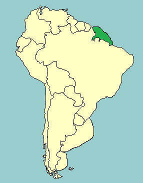 Zendie | Dream Fiction Wiki | Fandom