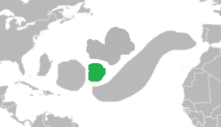 Kalap | Dream Fiction Wiki | Fandom