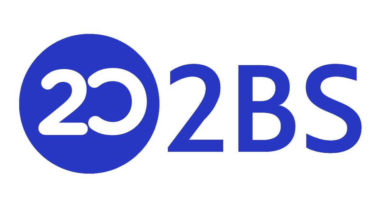 2BS | Dream Fiction Wiki | Fandom