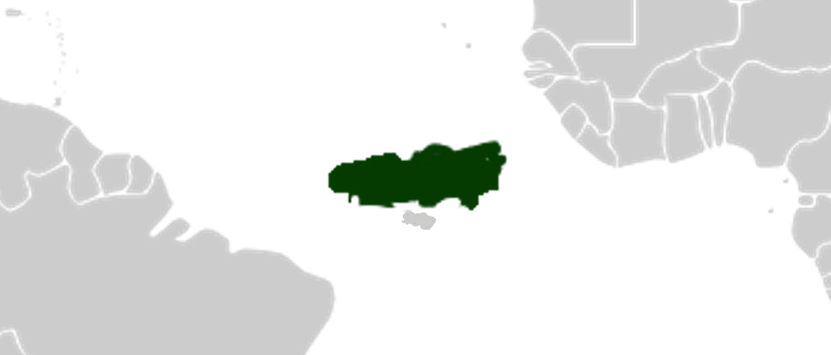 Mainland Dlevia | Dream Fiction Wiki | Fandom