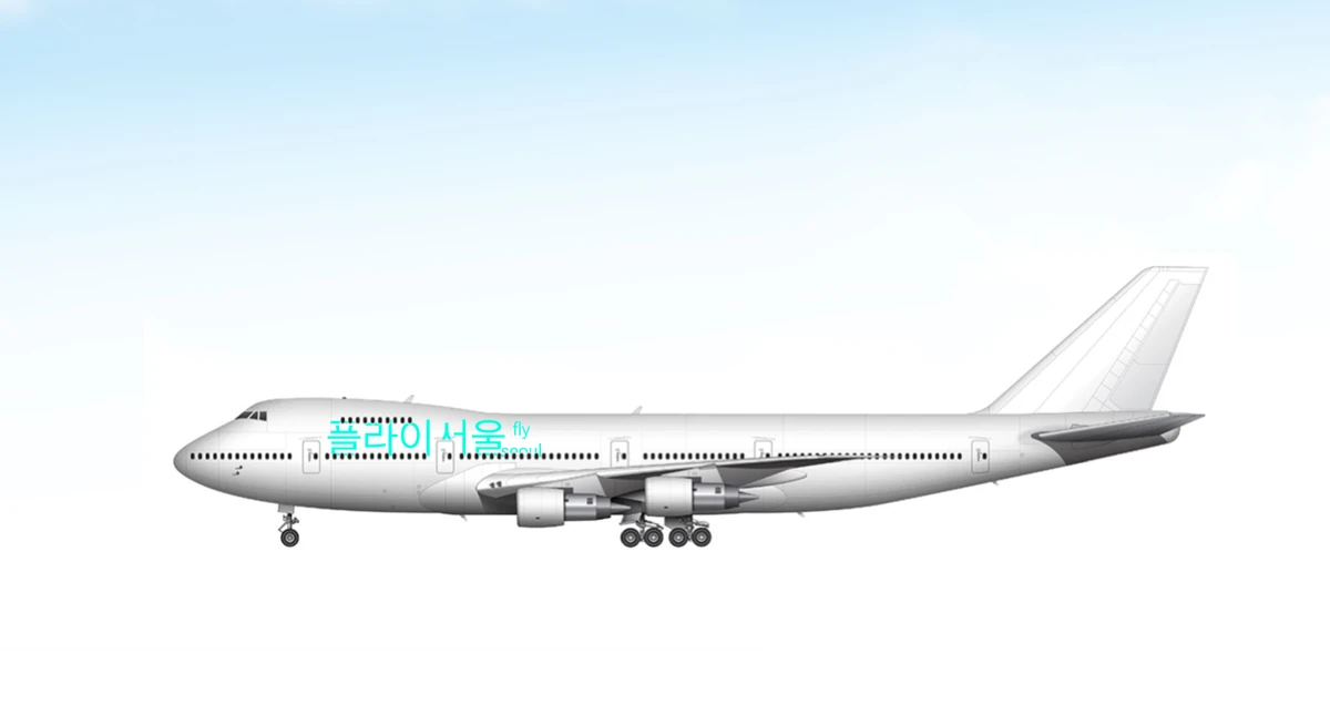 FlySeoul flight 033 | Dream Fiction Wiki | Fandom