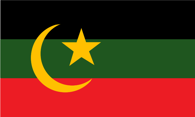 Flag of Qiyafi | Dream Fiction Wiki | Fandom