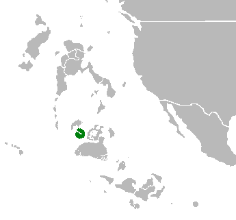 Sentan | Dream Fiction Wiki | Fandom