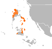 Silver furred flying fox | Dream Fiction Wiki | Fandom