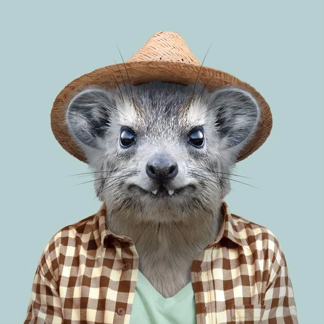 Non-humans | Dream Fiction Wiki | Fandom