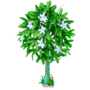 Arcane tree | Dreamfields Wiki | Fandom