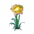 Mysterious flower (quest) | Dreamfields Wiki | Fandom