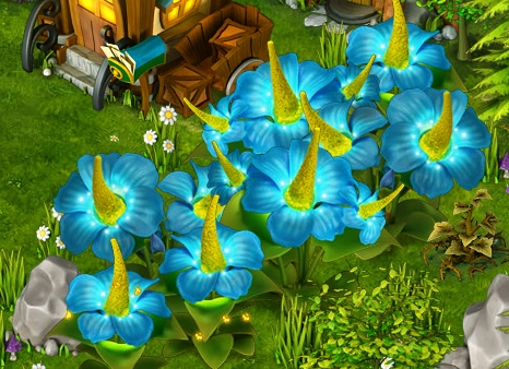 Blue flower (resource) | Dreamfields Wiki | Fandom
