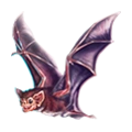 Bat (Dark item) | Dreamfields Wiki | Fandom